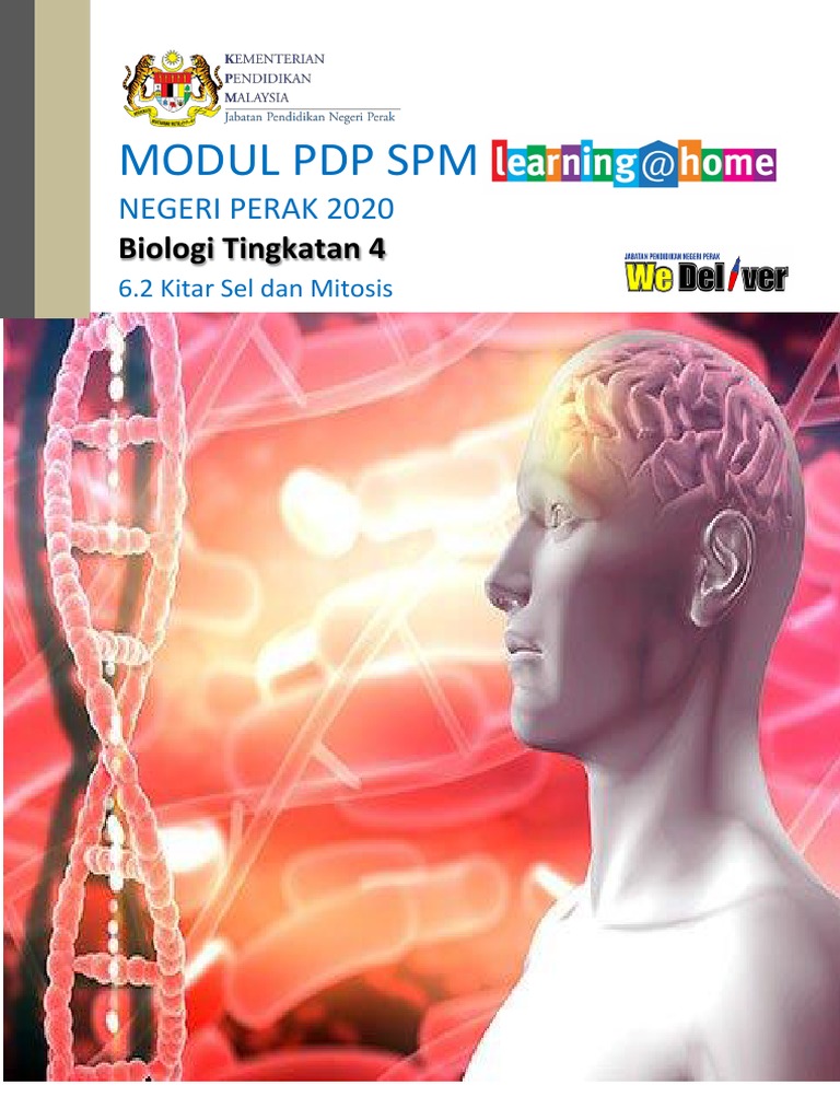 Biot4 6.2 Pembahagian Sel (BM) | PDF