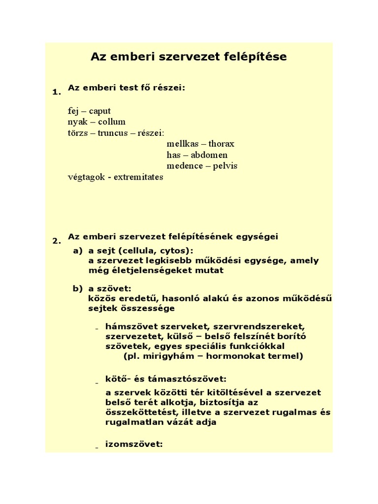 Az Emberi Szervezet Felépítése | PDF