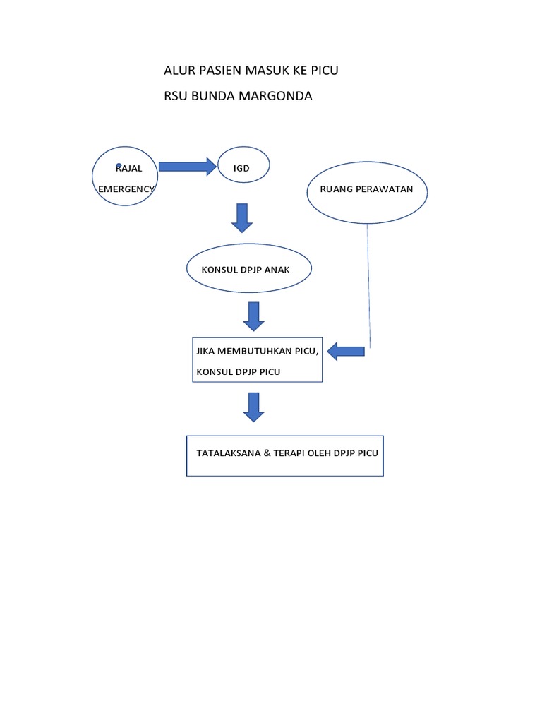 Alur Pasien Masuk Ke Picu | PDF