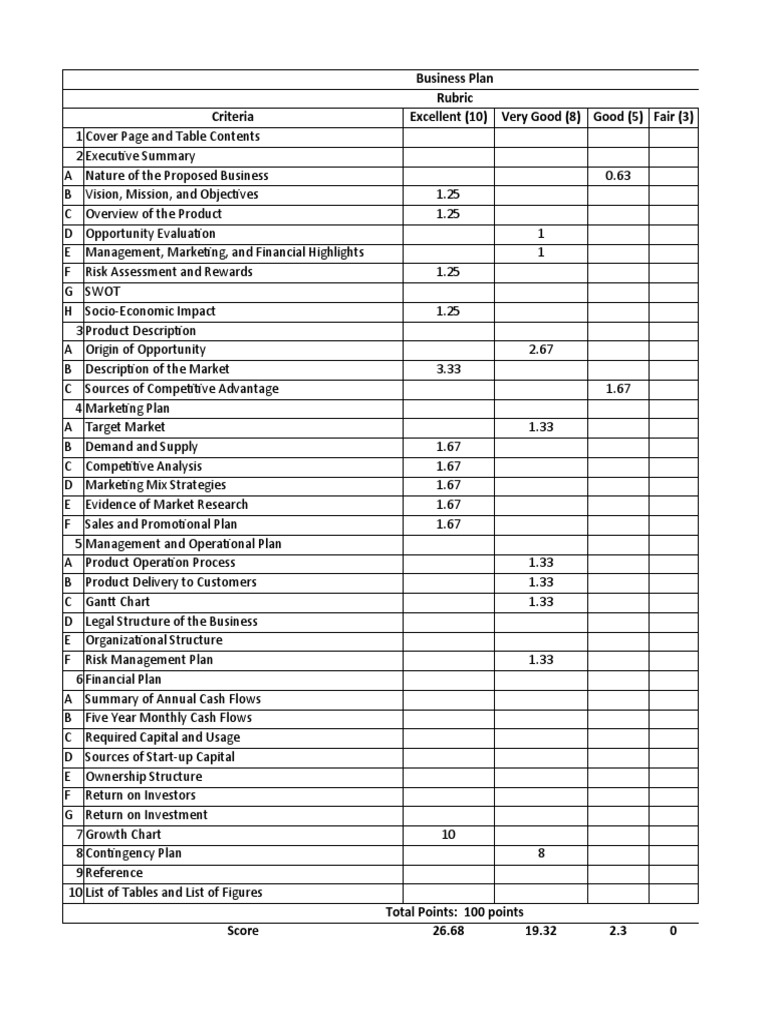 Business Plan Evaluation Rubric | PDF | Investing | Swot Analysis