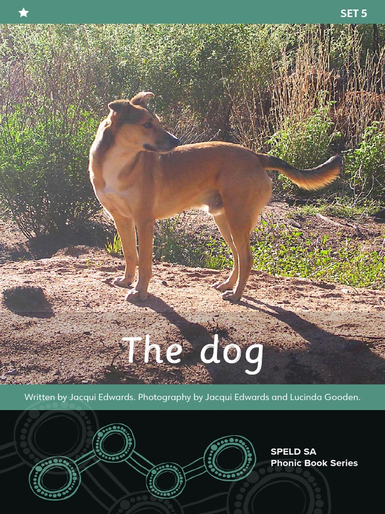 SPELD SA Set 5 The dog-DS | PDF | Phonics | Human Communication