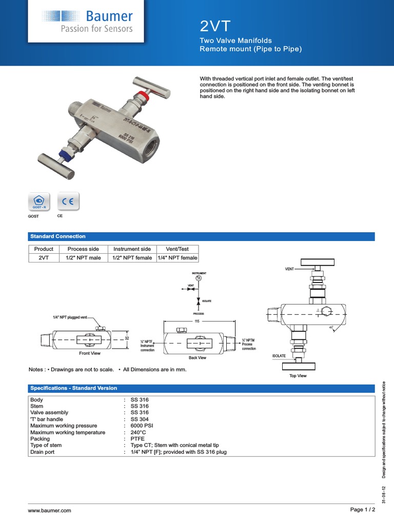Baumer 2VT DS 1208 | PDF | Valve | Pipe (Fluid Conveyance)