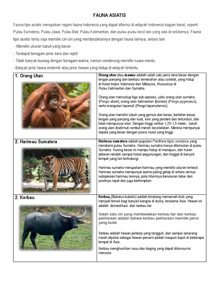 Fauna Asiatis | PDF