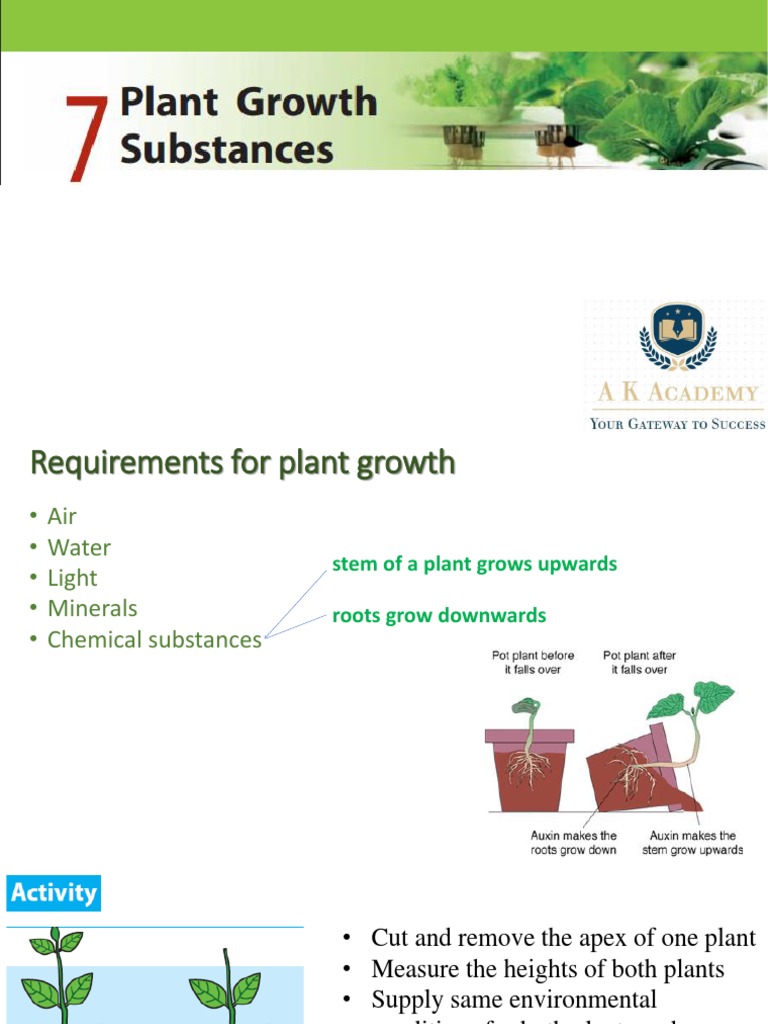 Plant Growth Substances | PDF