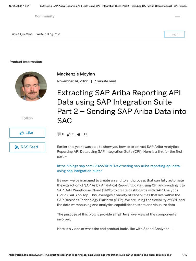Extracting SAP Ariba Reporting API Data | PDF