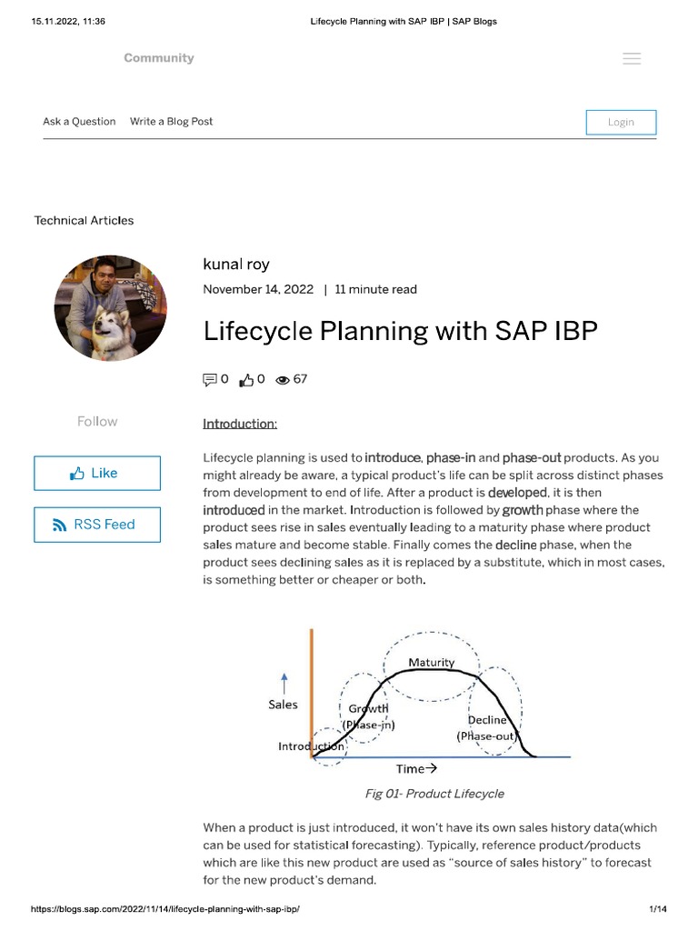 Lifecycle Planning With SAP IBP | PDF