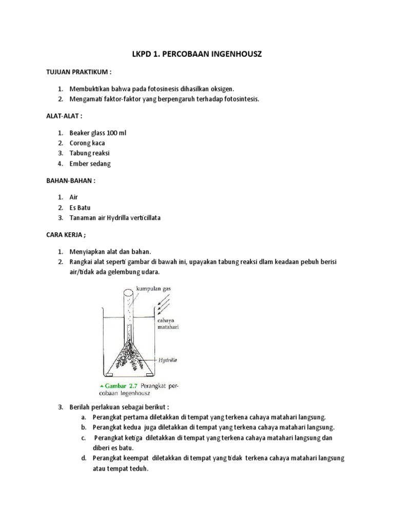 Percobaan Ingenhousz | PDF