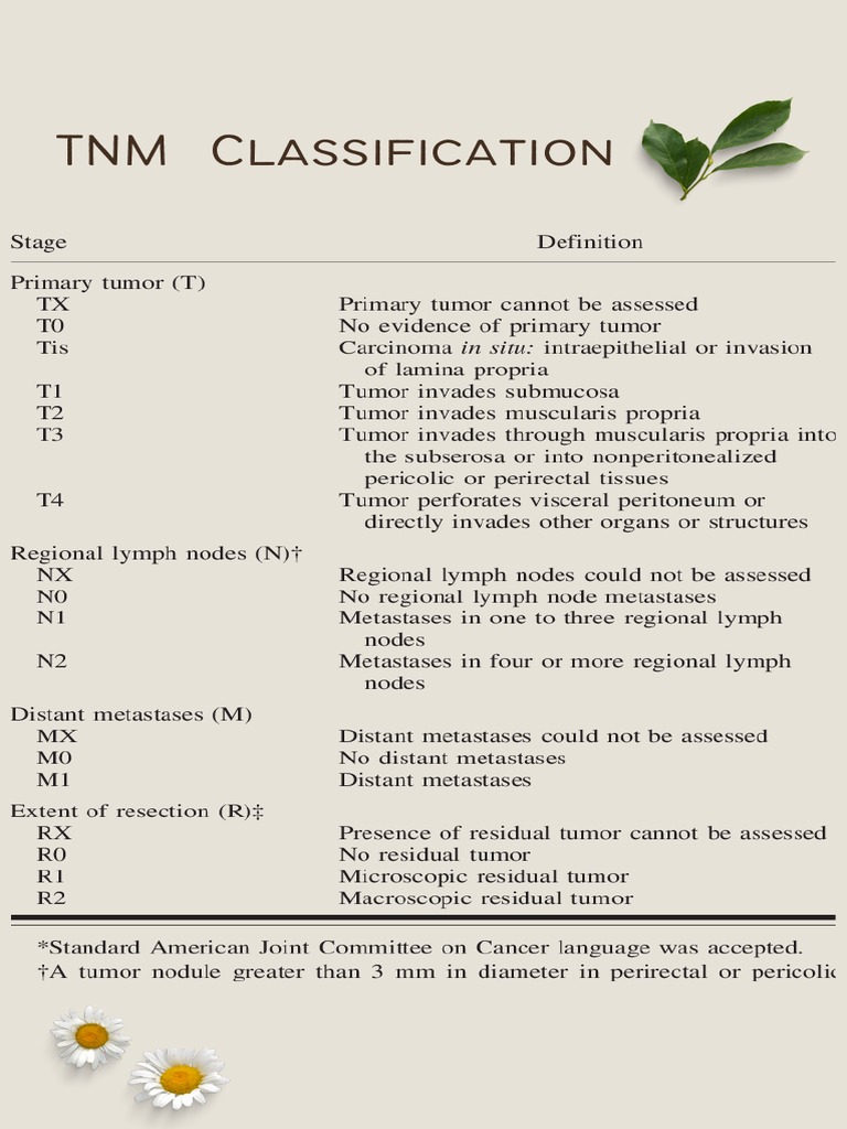 TNM Staging | PDF
