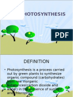 Photosynthesis Overview for Class 10 | PDF
