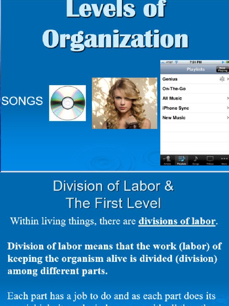 Levels of Biological Organization | PDF | Organisms | Life
