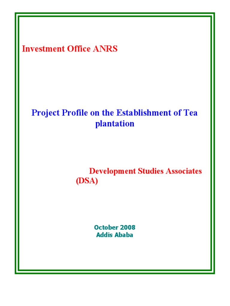 Tea Plantation | PDF | Net Present Value | Revenue