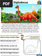 Stegosaurus Reading Comprehension Exercises - 2379 | PDF | Nature