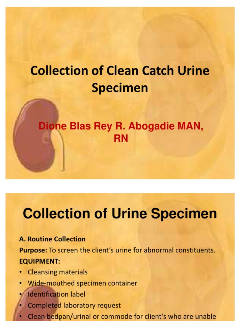 Collection of Clean Catch Urine Specimen | PDF | Urine | Urination
