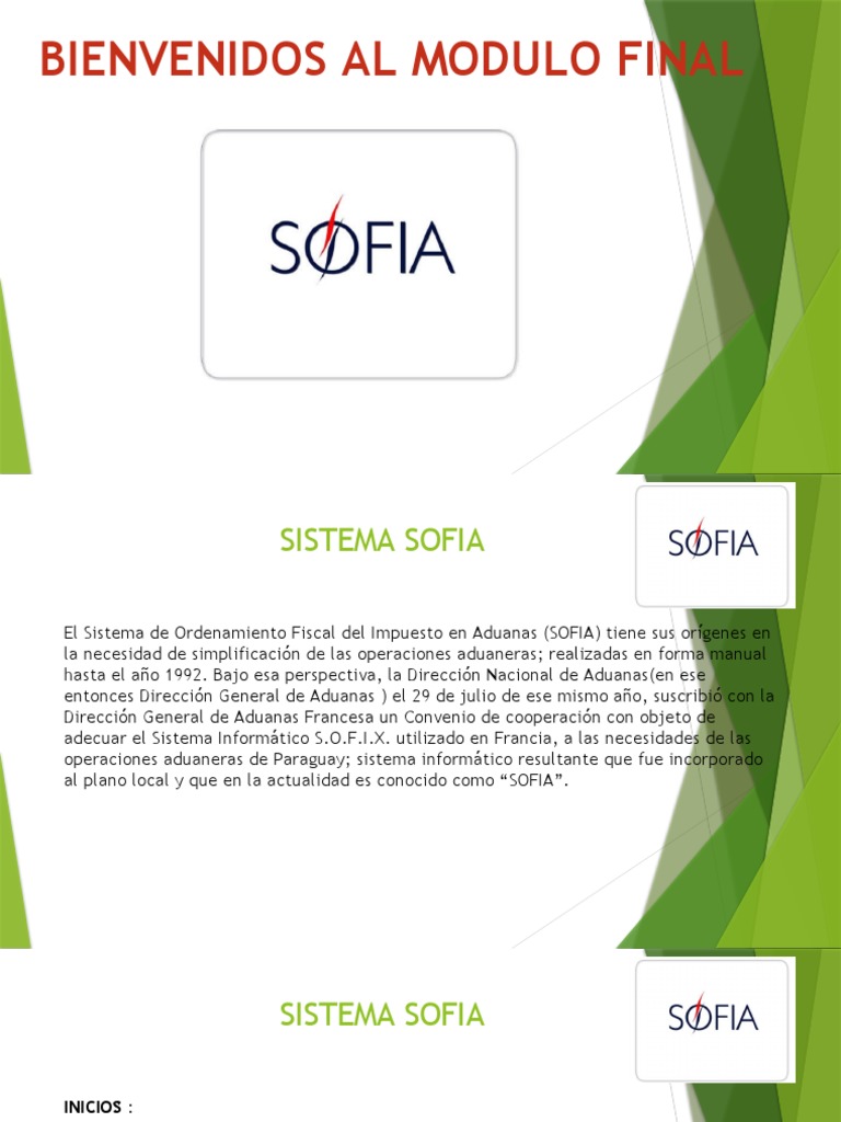 Sistema Sofia | PDF | aduana | Economias