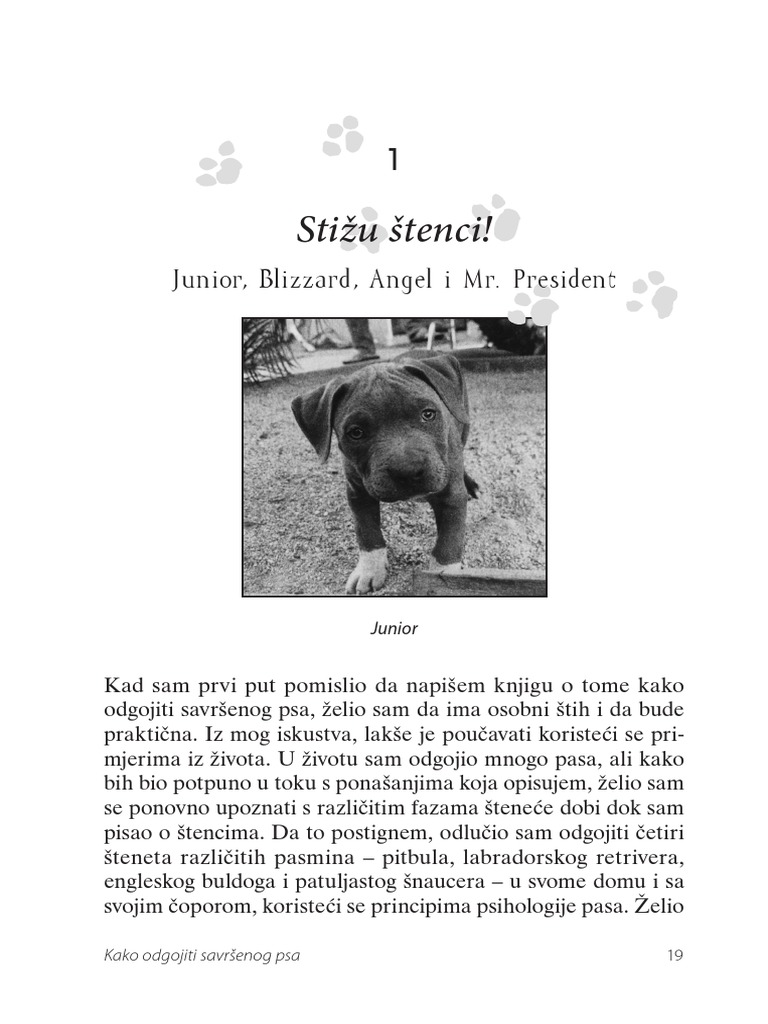 Stizu Stenci | PDF