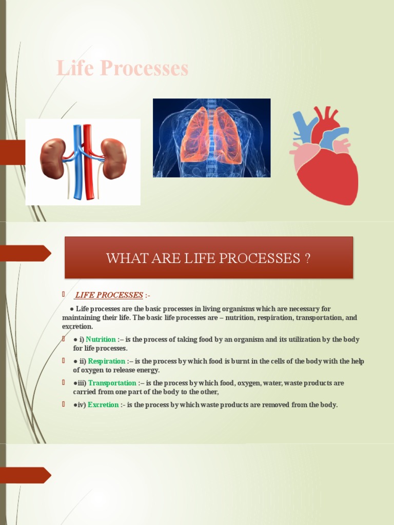 Essential Life Processes Explained | PDF