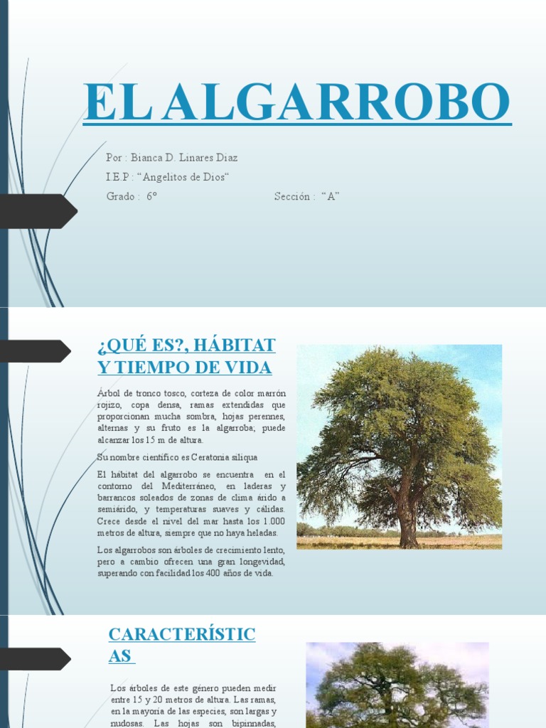 El Algarrobo | PDF