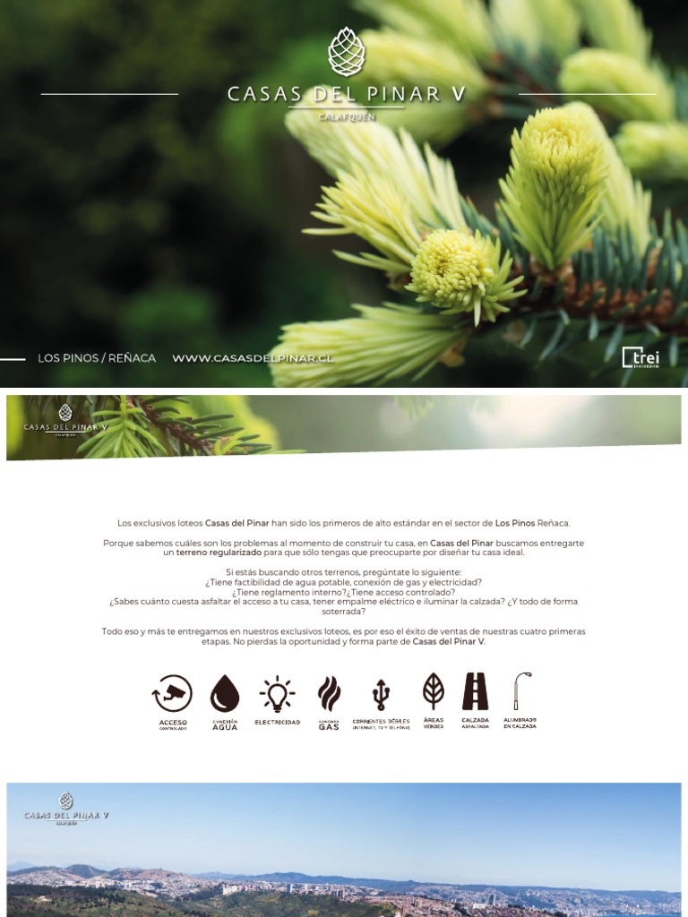 Brochure CDP 5 | PDF