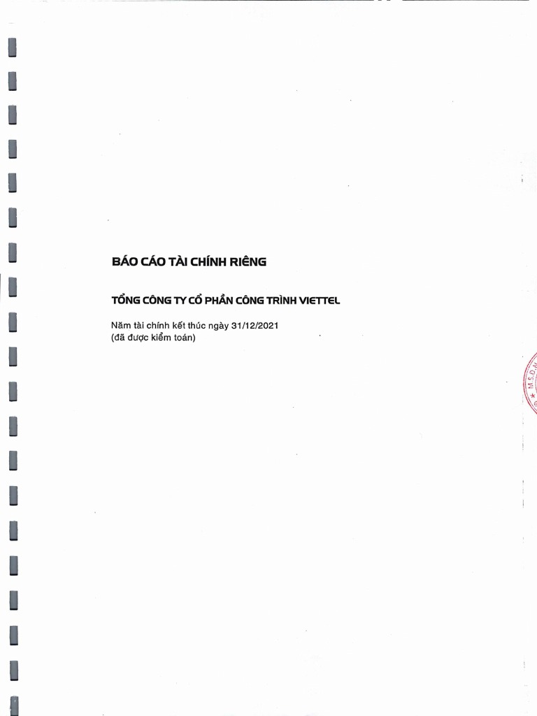 CTR - BCTC Rieng 2021 | PDF