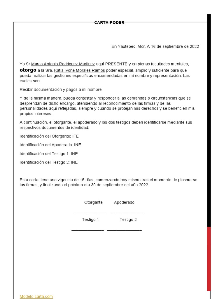 Carta Poder Simple | PDF