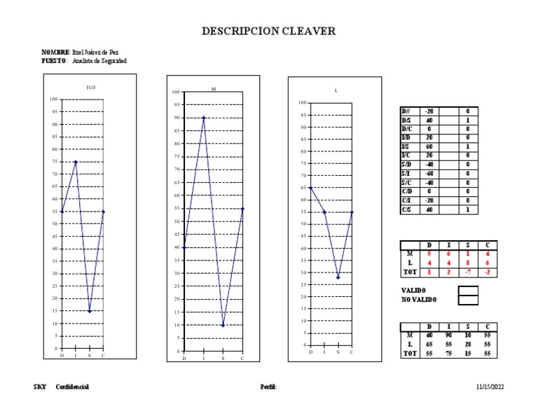 CLEAVER Prueba | PDF