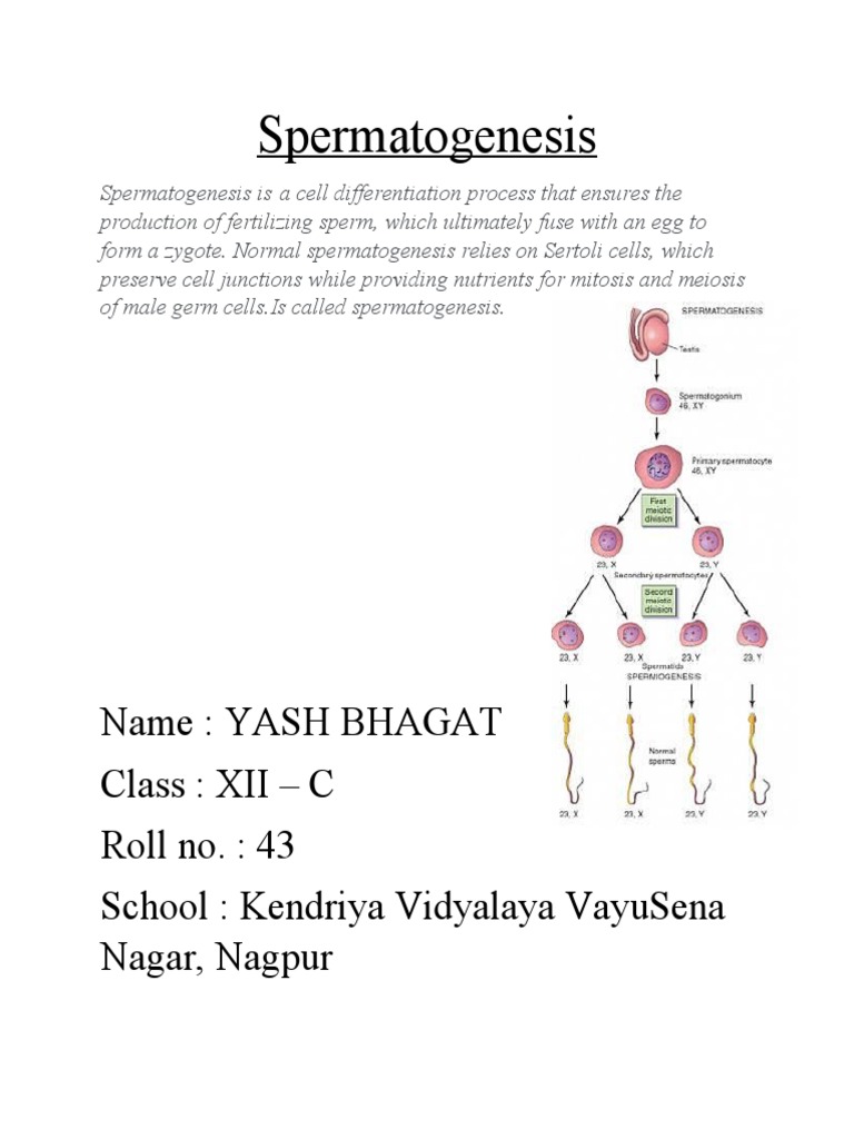 Yash | PDF | Biology | Life Sciences