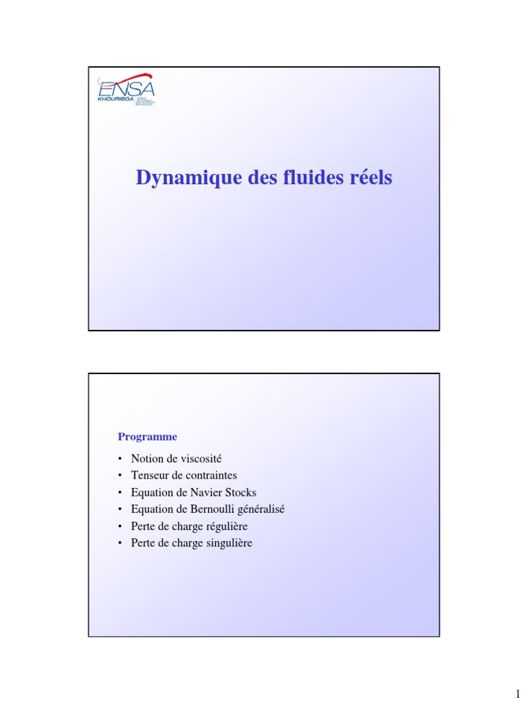 Dynamique des fluides réels et pertes | PDF | Viscosité | Fluide