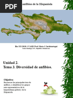 Rana Nodriza Niputidea (Allobates Niputidea) NaturaLista Colombia | PDF