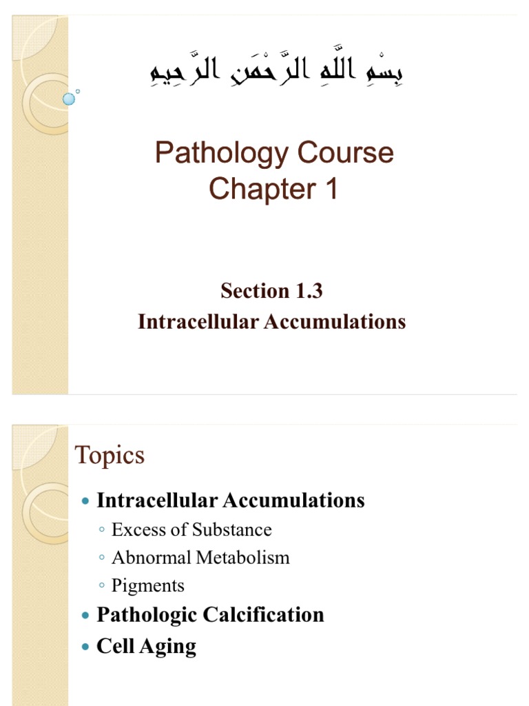 Intracellular Accumulation in Pathology | PDF