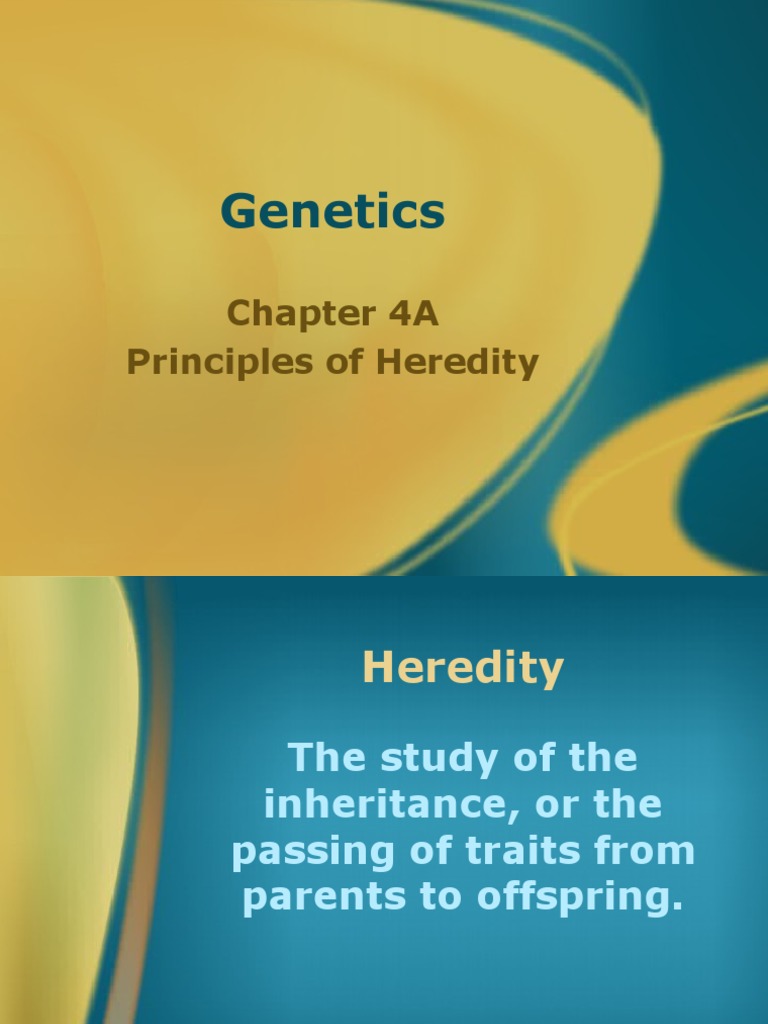 Chapter 4 PPT Genetics | PDF
