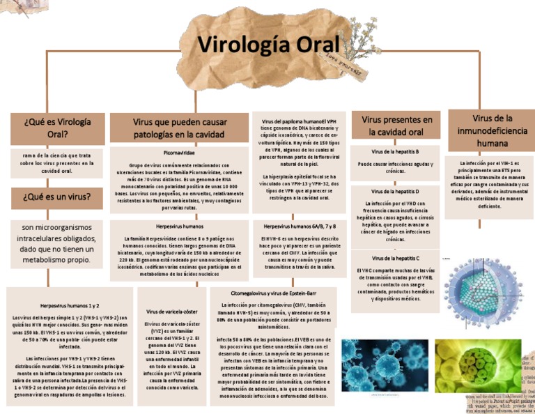 Mapa Conceptual Virología Oral | PDF