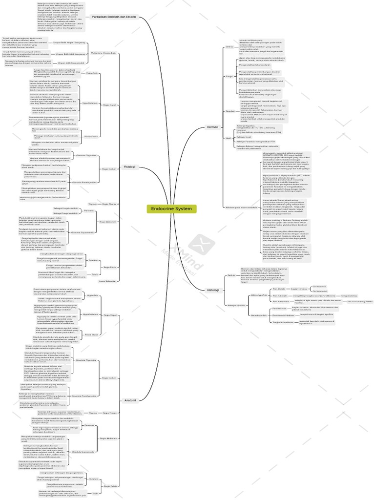 Endocrine System Alya Firza Fitria | PDF