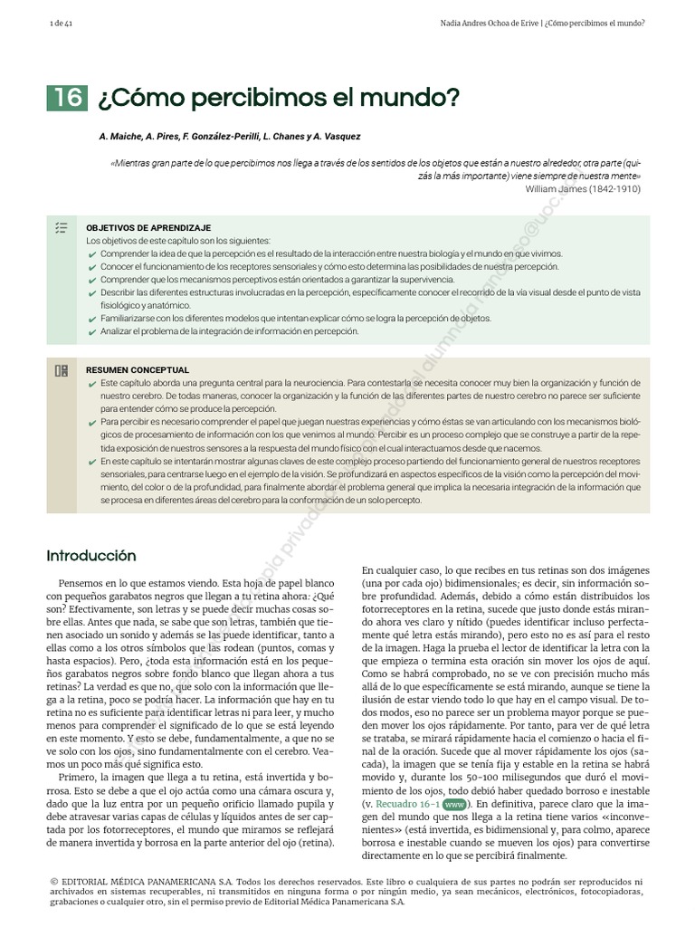 Como Percibimos El Mundo | PDF
