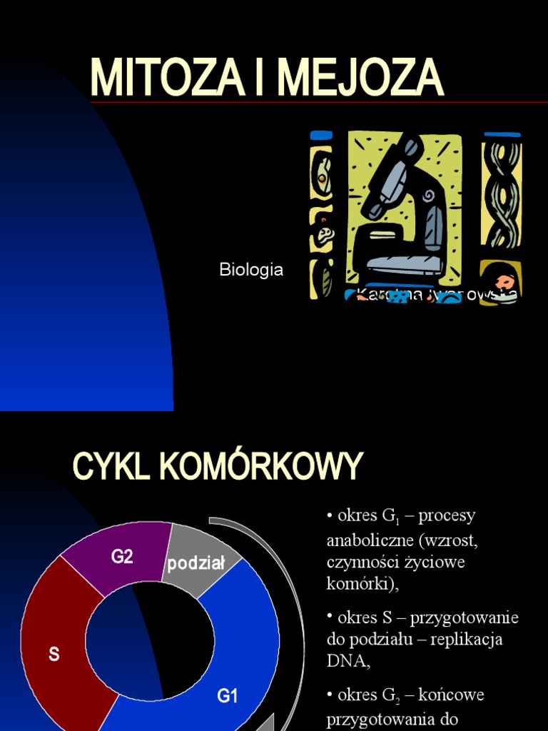 Mitoza I Mejoza 51508 | PDF