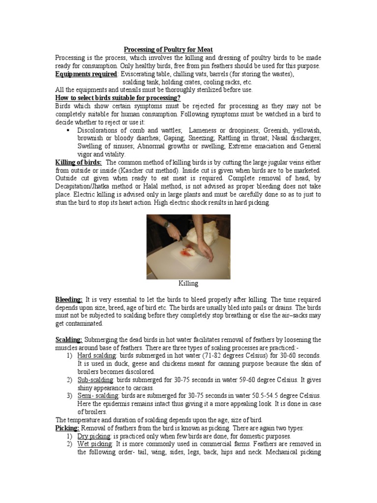 12 Processing of Poultry | PDF