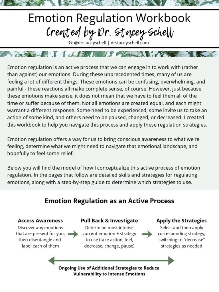 Emotion Regulation Workbook March 25 2020 | PDF