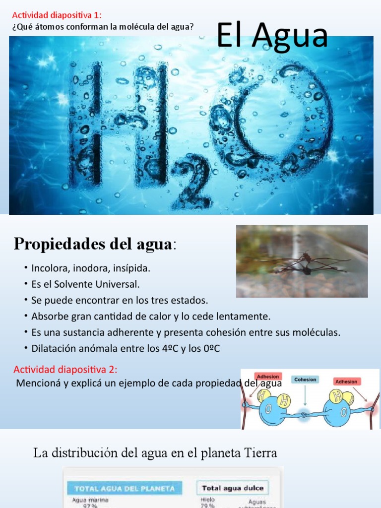 El Agua Y Sus Propiedades Pdf
