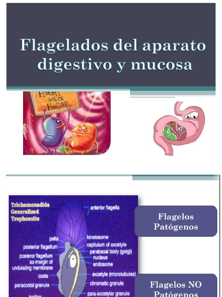 Parasitos Flagelados No Patogenos | PDF