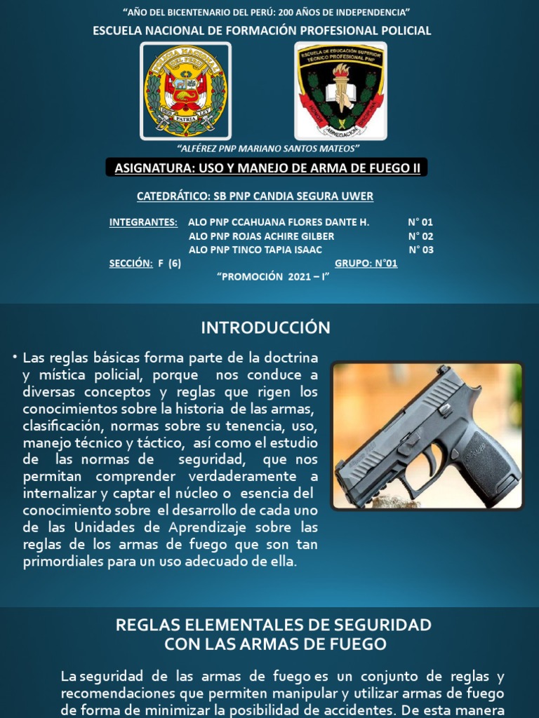 Reglas elementales de seguridad con las armas de fuego | PDF | Armas de ...