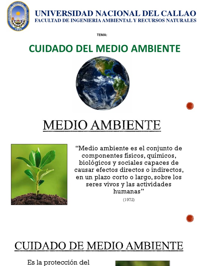 Cuidado del Medio Ambiente: Claves y Desafíos | PDF | Entorno natural ...