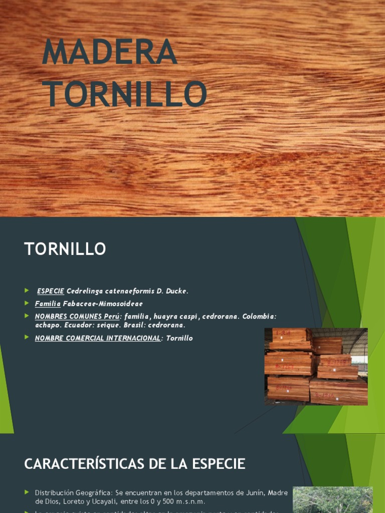 Madera Tornillo | PDF