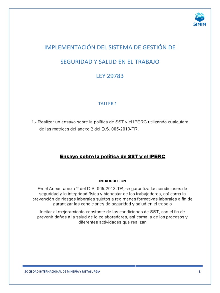Taller 1 - Implementación Del SST Ley 29783 | PDF