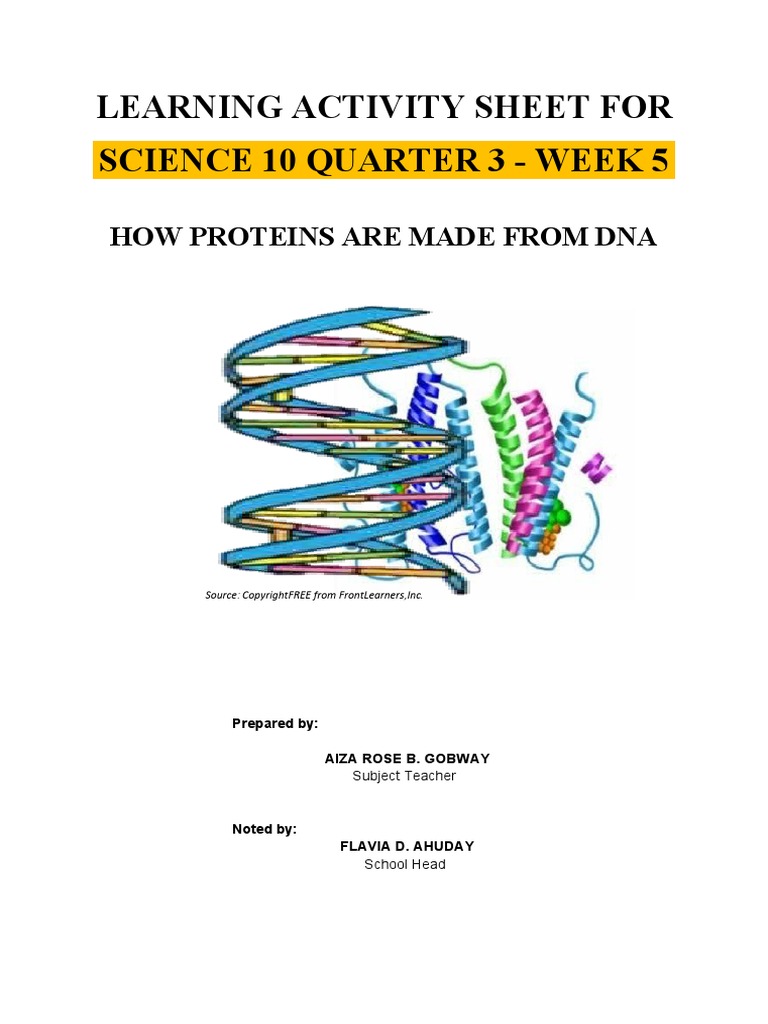 Science Q3 WK5. | PDF | Rna | Translation (Biology)
