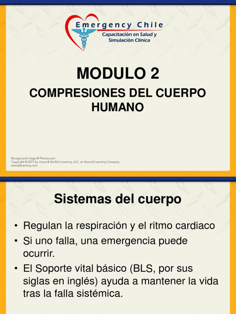 CH02 Health Care Provider PPT Español | PDF