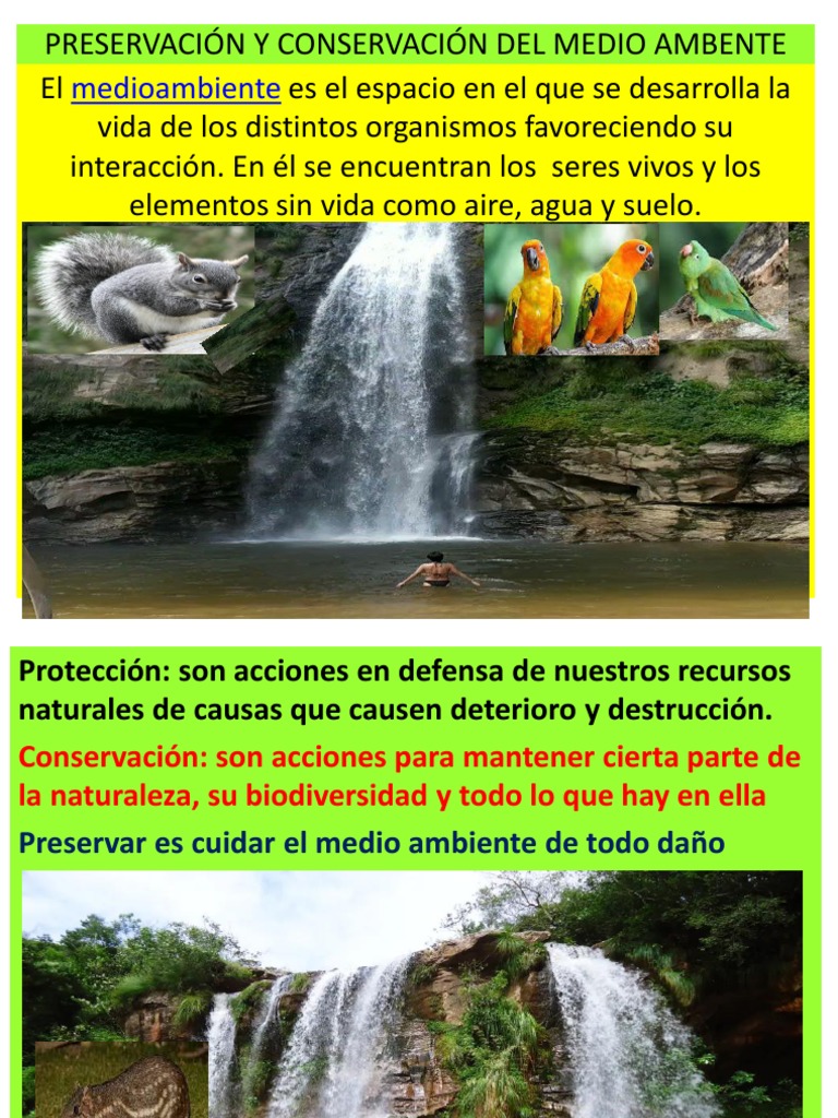 Preservación y Conservación Del Medio Ambente | PDF | Energía renovable ...