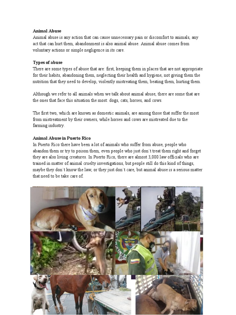 Animal Abuse | PDF