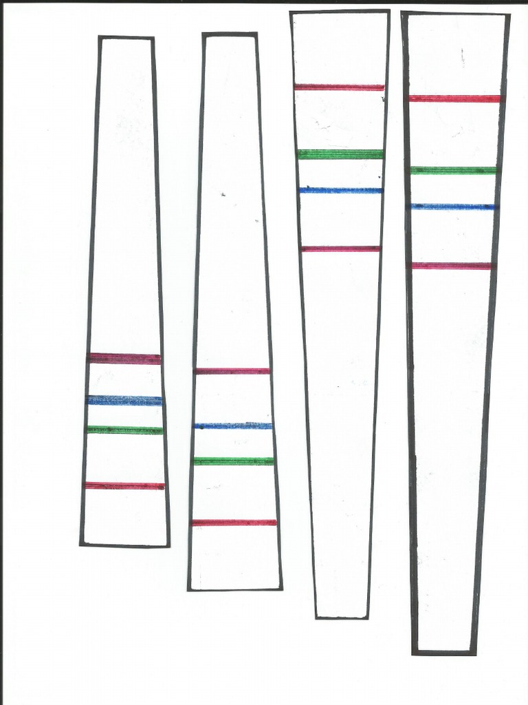 Violin Fretboard 4 Sizes | PDF