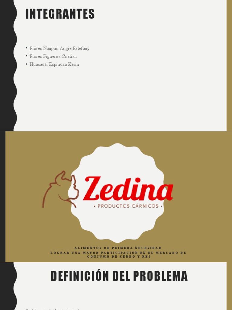 ZEDINA | PDF