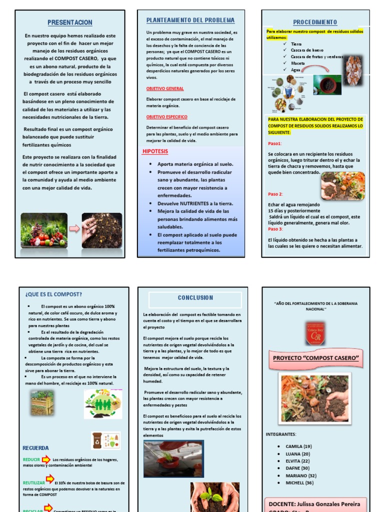 Triptico Abono Casero | PDF