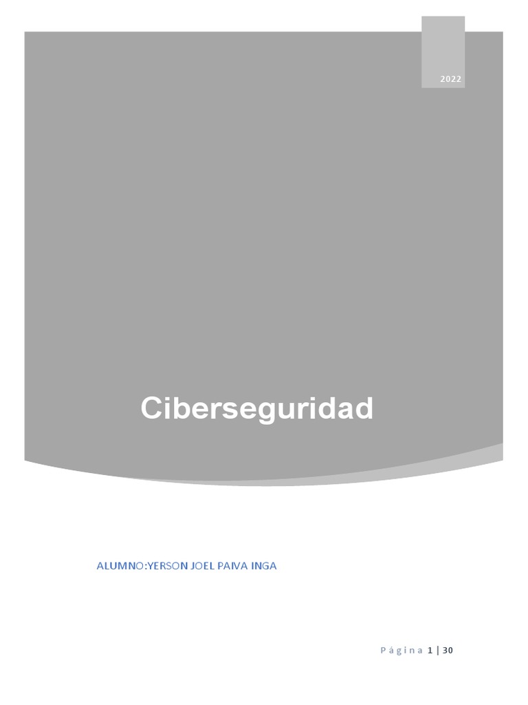 CIBERSEGURIDAD | PDF